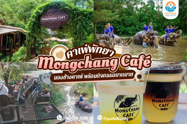 Mongchang Caféมองช้างคาเฟ่ คาเฟ่พัทยา ที่พร้อมกิจกรรมมากมาย